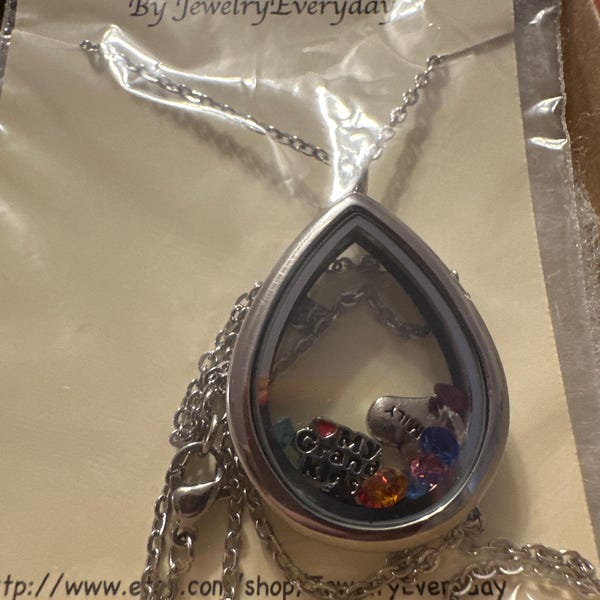 School Lunch Server Keychain, Appreciation Gift, Gift for School Lunch ...
