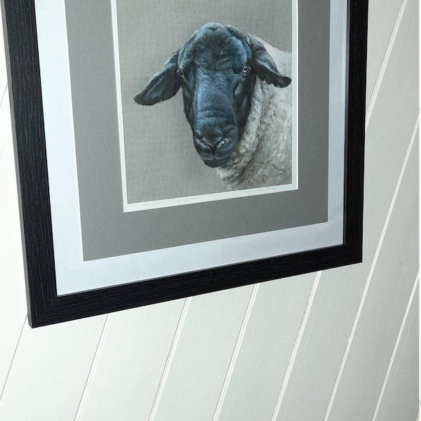 Mule Sheep Art Print Farmer - Etsy