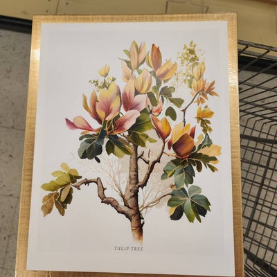 Florida State Flower Florida Flower Market Art Print Orange - Etsy