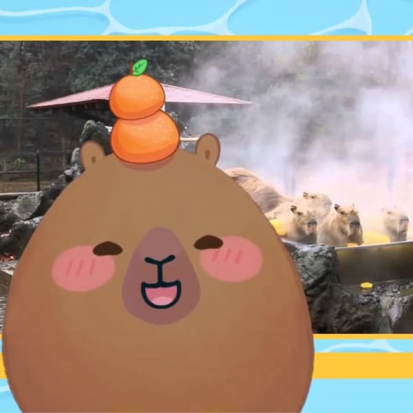 Customizable Vtuber - Blop Capybara - Fully Body/fully Rigged Live2d ...