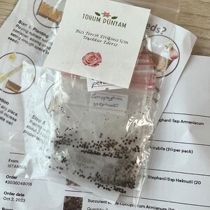 20 Mix Rose Seeds Packet 100 Seeds - Etsy Canada