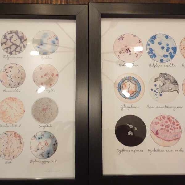 Microbe Collection, Bacteria, Bacteria Art, Science, Science Art ...