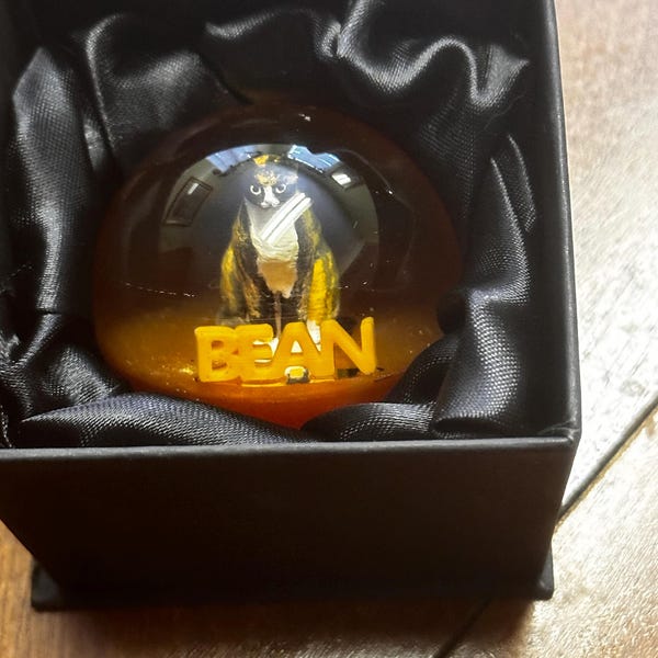 LED SHIFTERS - Choose Your Pokemon - Crystal Pokeball Shift Knob - your ...