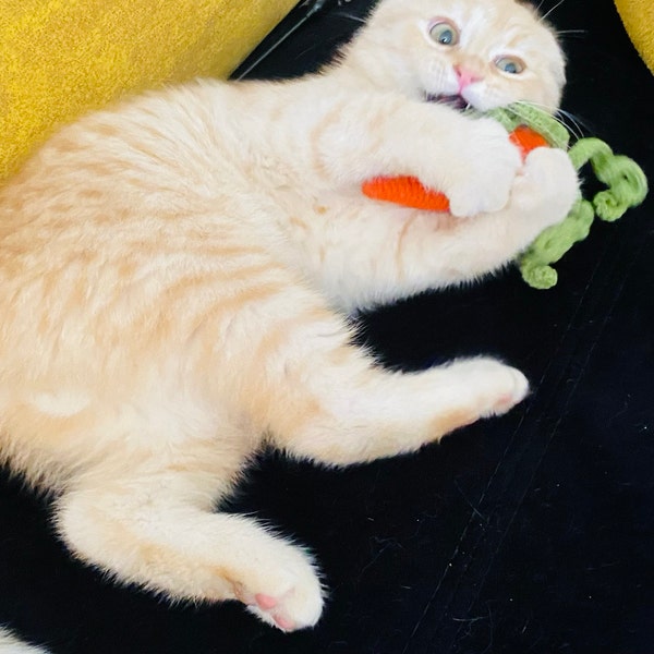 Catnip Cat Toys Carrot Catnip-filled Silvervine-filled Toy for Cats Gift for Cats Handmade ...