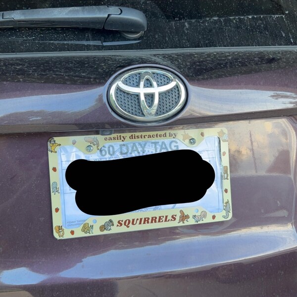 Insects License Plate Frame - Entomology Entomologist Car Truck Gift ...