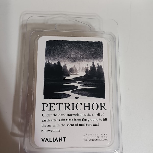 Petrichor | the Smell of Earth After Rain | Soy Wax Candle in Amber Jar ...