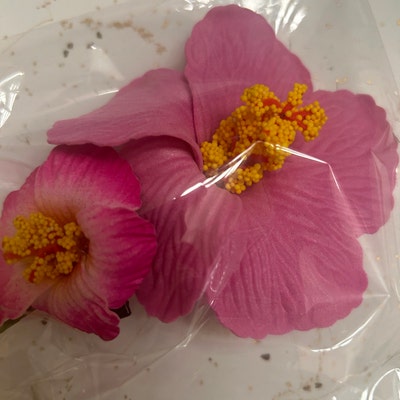 Kiki/titi Fulumoa. Samoan Costume Kiki overskirt. Perfect for All Ages ...