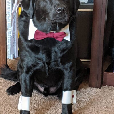 Dog Cuffs, Custom Dog Tuxedo Cuffs for Wedding, Dog Wedding Accessory ...