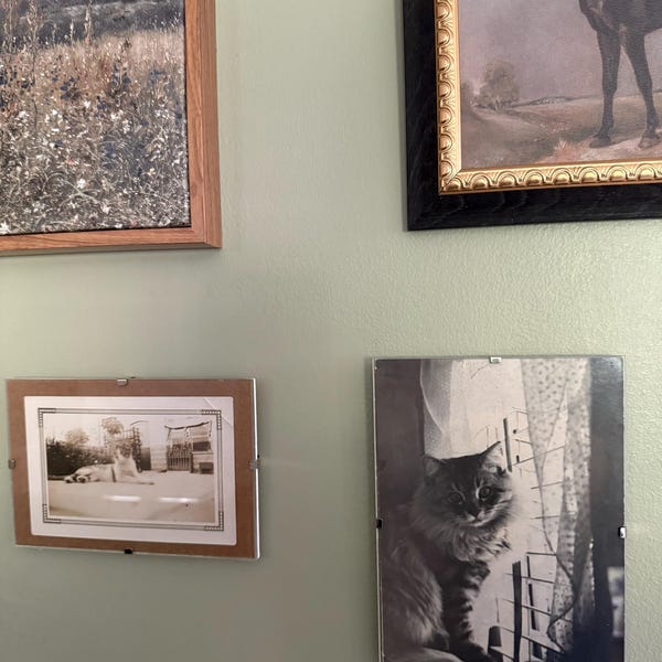 Beautiful Bride and Groom 1940s Wedding Flower Bouquet Painted Backdrop Original Vintage Sepia ...