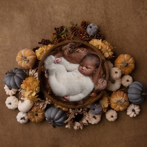 Fall Digital Backdrop, Newborn Baby Digital Backdrops, Digital ...