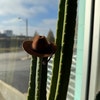 Mini BROWN Felt COWBOY HAT Western Wedding Party Favor Choose Size ...