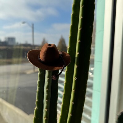 Mini BROWN Felt COWBOY HAT Western Wedding Party Favor Choose Size ...