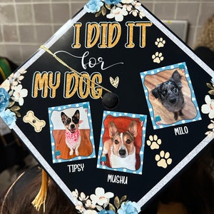 Personalized Film Student Graduation Cap Topper, Funny Grad Cap Topper ...