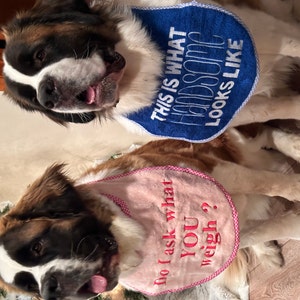 St Bernard Dog Bib ,large Drool Bib, Slobber Dog Bib , Large Breed Dog ...