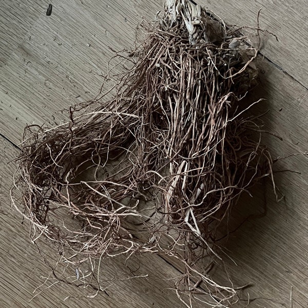 Vetiver Root Vetivert Khus Khus 1 Ounce - Etsy