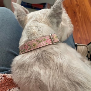 UGLY Bells for Pet Collar Chipped Jingle Bell for Cat Collar Character ...