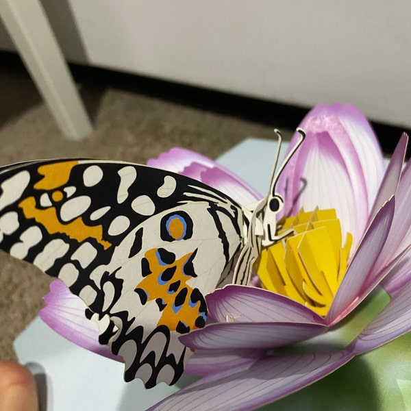 A02-3D Pop up Butterfly Greeting Card - Elegant and Unique Birthday or ...