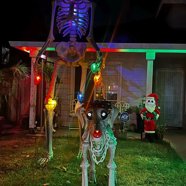 12 Skeleton Santa Beard white skeleton NOT Included - Etsy