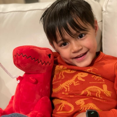 Unstoppable Dinosaur PLUSH GT3300-999RED Plushie, Fun Dino, Dinosaurs ...