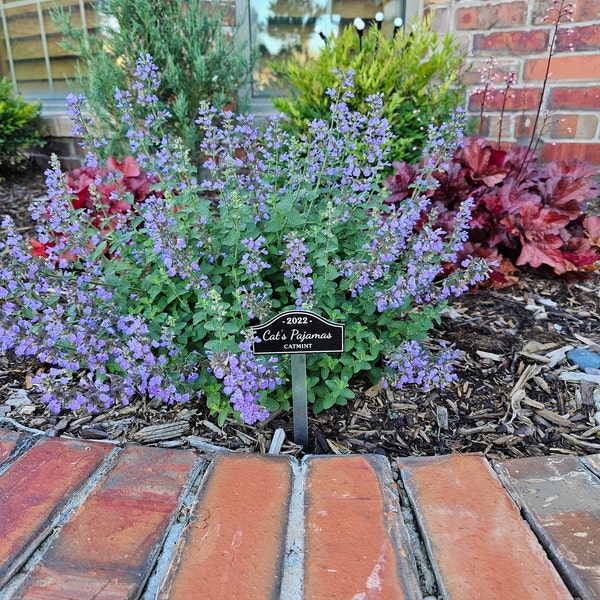 Custom Garden Stakes, Flower Labels, Plant Name Tags, Identification ...