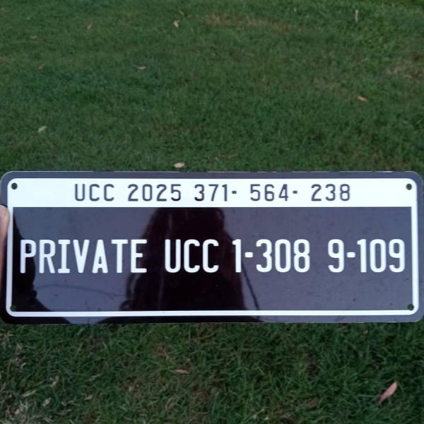 Just Married Number Plates, Personalised Wedding Gift Sign for Wedding ...