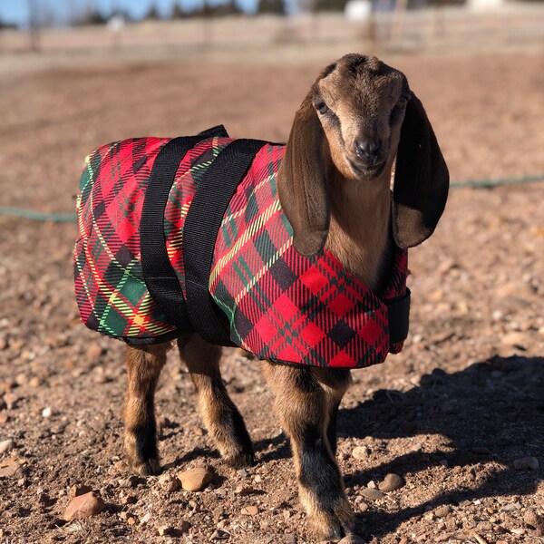 Insulated KID Goat Coat 14