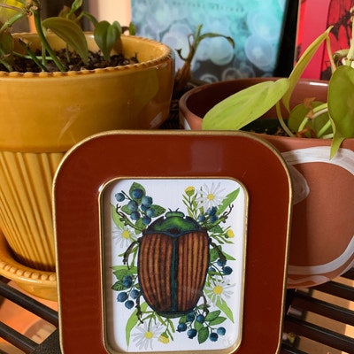 June Bug Insect Print of Original Watercolor Painting, Entomology Art ...