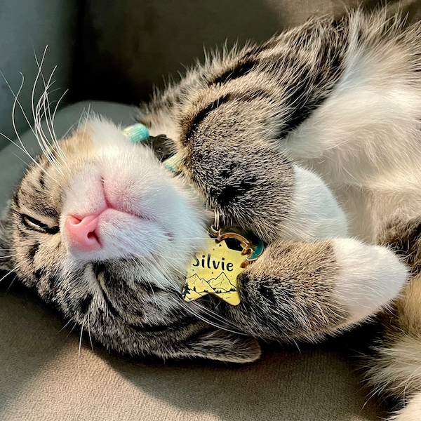 Cat Id Tag - Pet Tag - Cat Tag Personalized - Cat Tag Small - Pet Tags ...