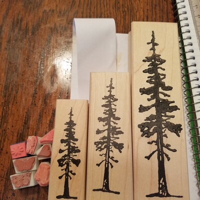 Pine Sequoia Redwood Tree Rubber Stamp Wood Mounted 5 1/4th - Etsy