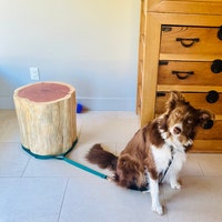 Square Tree Stump Table - Etsy