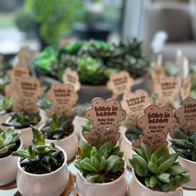 Baby in Bloom Baby Shower Succulent Plant Sticks,baby Shower Favors ...
