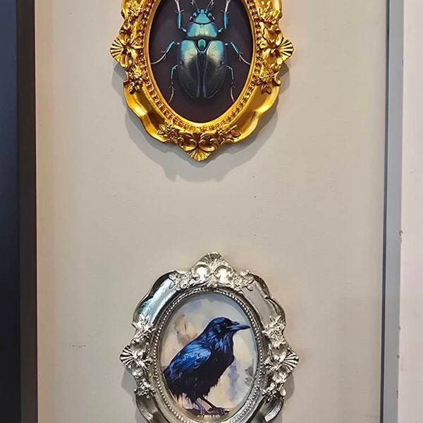 Gothic Wall Art Oddities and Curiosities AI Framed Wall Hanging Dark ...