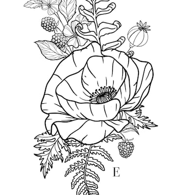 Botanical SVG Bundle, Hand Drawn Sprig and Leaf, Black Leaf Png Svg ...