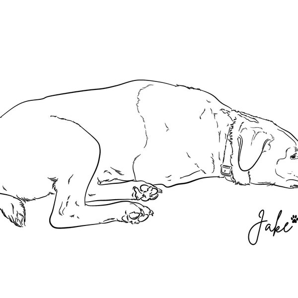 Dog Sketch From Photo, Pet Outline, Custom Line Drawing Illustration ...