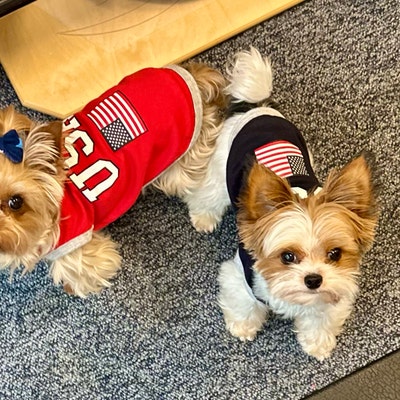 French Beret Hat, Hat for Dog, Dog Hat, Dog Beret, Dog Costume, Pet ...