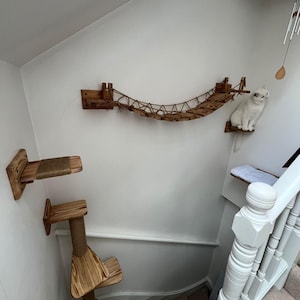 Cat Ceiling 3 Hexagon Shelves, Cat Floating Bridge for Wall, Ceiling ...