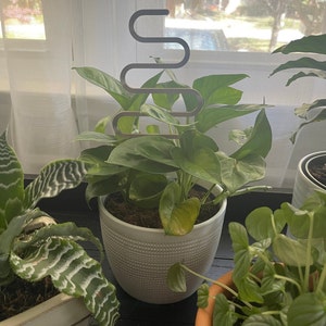 Fern Leaf Trellis for Climbing Plants 3D Printed Trellis for Indoor ...