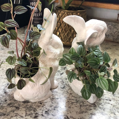 Ceramic Standing Eatser Bunny Planter Pot/ off White Rabbit Planter Pot ...