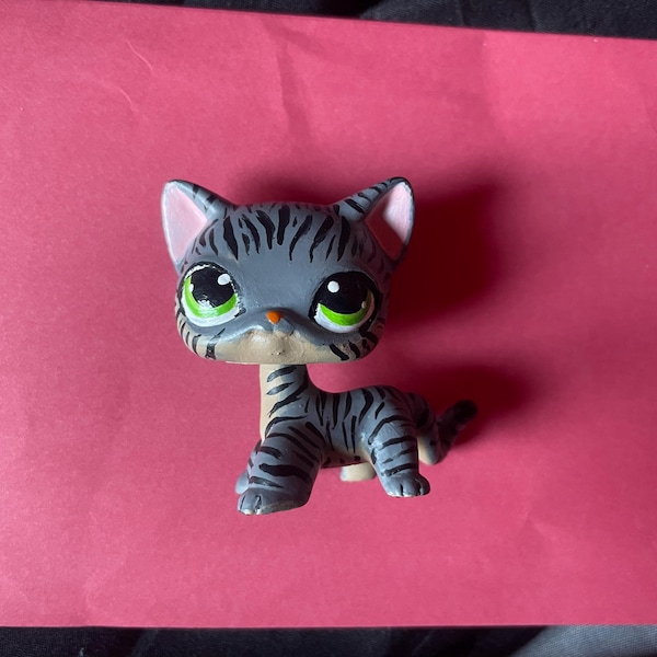 LPS Pink Kitty OOAK Custom - Etsy