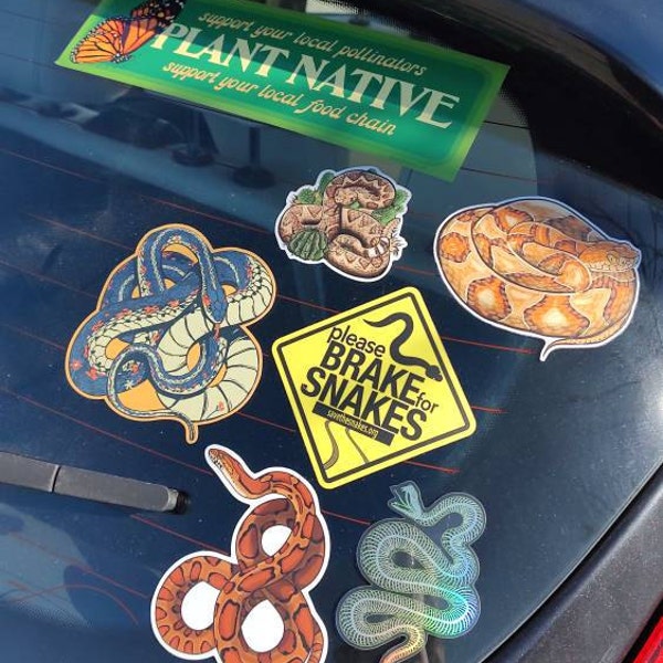 Garter Snake Sticker - Etsy