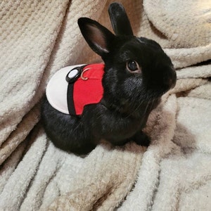 Colonial Tricorn Pirate Hat for Pet Bunny Rabbit and Other - Etsy