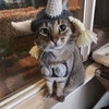 Brunhilde Vikings Valkyries Wagner Opera Hats for Cats - Etsy Canada