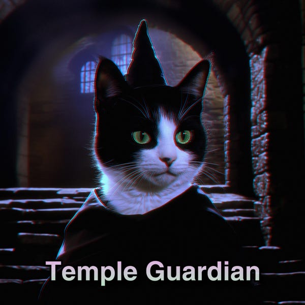 I Cast Pspspspsps Holographic Magnet Cat Wizard - Etsy