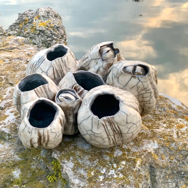 Handmade Barnacles, Ceramics, Porcelain, Barnacles, Ceramics, Handmade ...