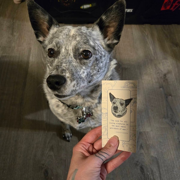 Hand Painted Wooden Cat Pin | Cute, Angry or Indifferent Kitty Brooch ...