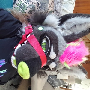 Pride Flags Fursuit Collar - Etsy