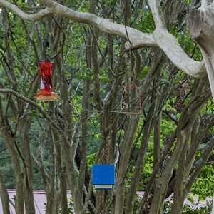 Hummingbird Swing: Copper Hummingbird Swing With Crystal Charms Hang It ...