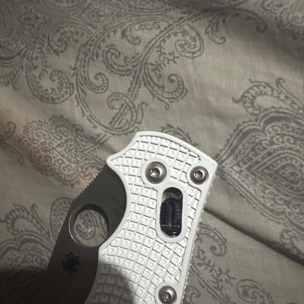 Spyderco Paramilitary 2 - Titanium Backspacer - Etsy