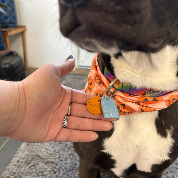 Dog Tag, Leather Tag, Silent ID Tag, Personalized Dog Tag, Small Dog ...