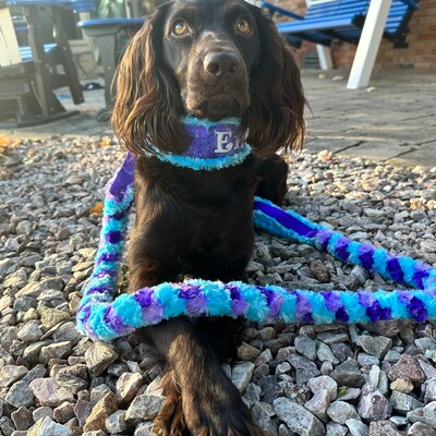 Bold and Bright Ring Lead With Tug Agility Lead-barn Hunt - Etsy